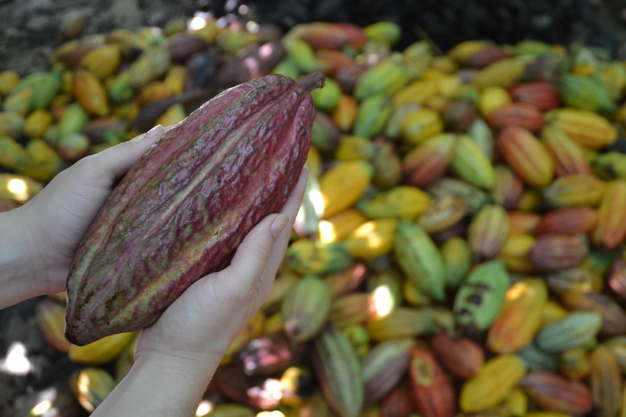 CAESCA – Colombia más competitiva